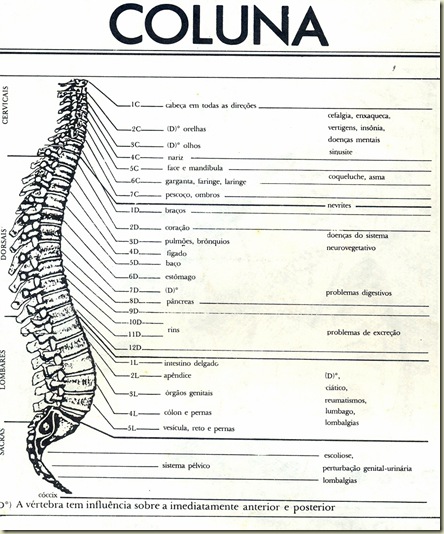 Dores nas costas – Parte 1.